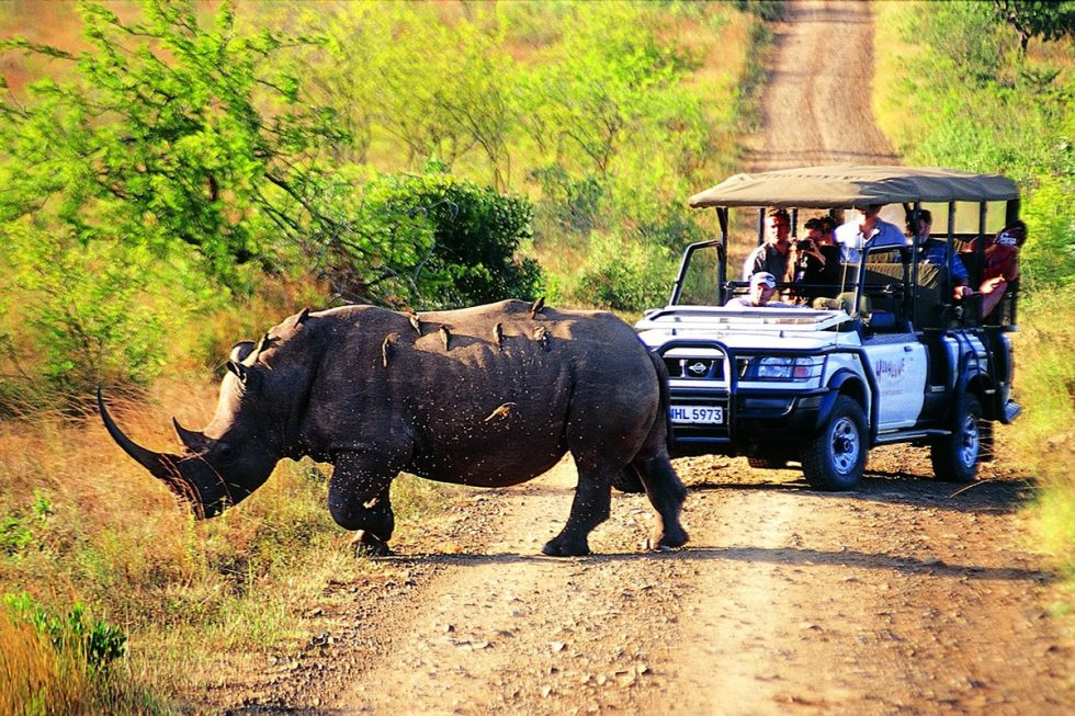Hluhluwe River Lodge – Luxury accommodation in Hluhluwe